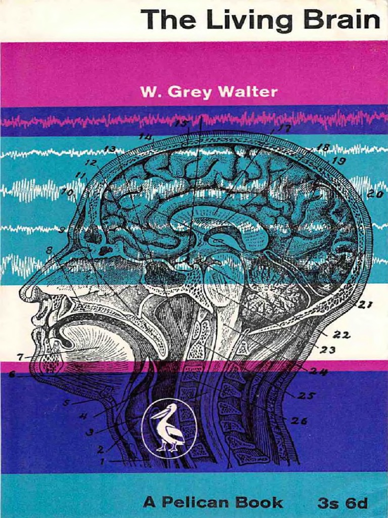 The Living Brain by Walter, William Grey | PDF | Brain | Handedness