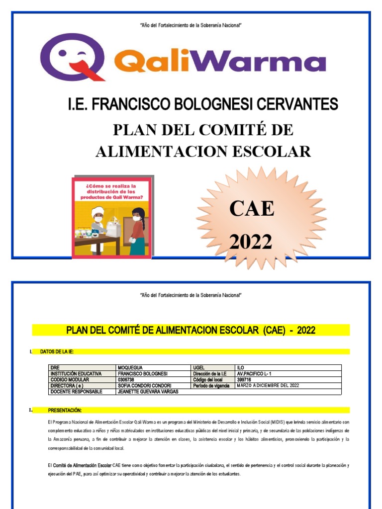 Plan de Cae-2022 | PDF | Violación | Educación primaria