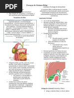 Bula Zina Odt | PDF | Gravidez | Alergia