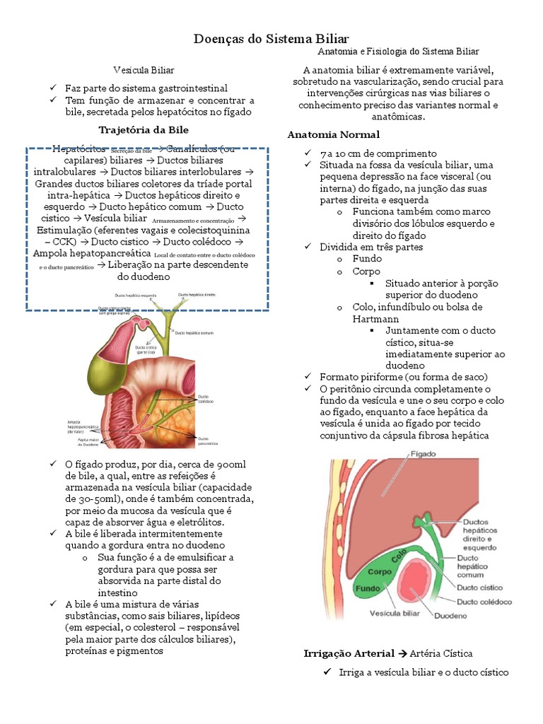 Anatomia e Doenças da Vesícula Biliar | PDF | Bile | Fígado