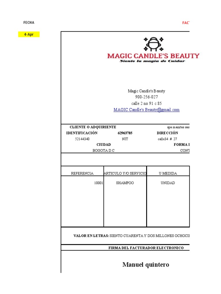 Ejemplo Organizacion Del Sic | PDF