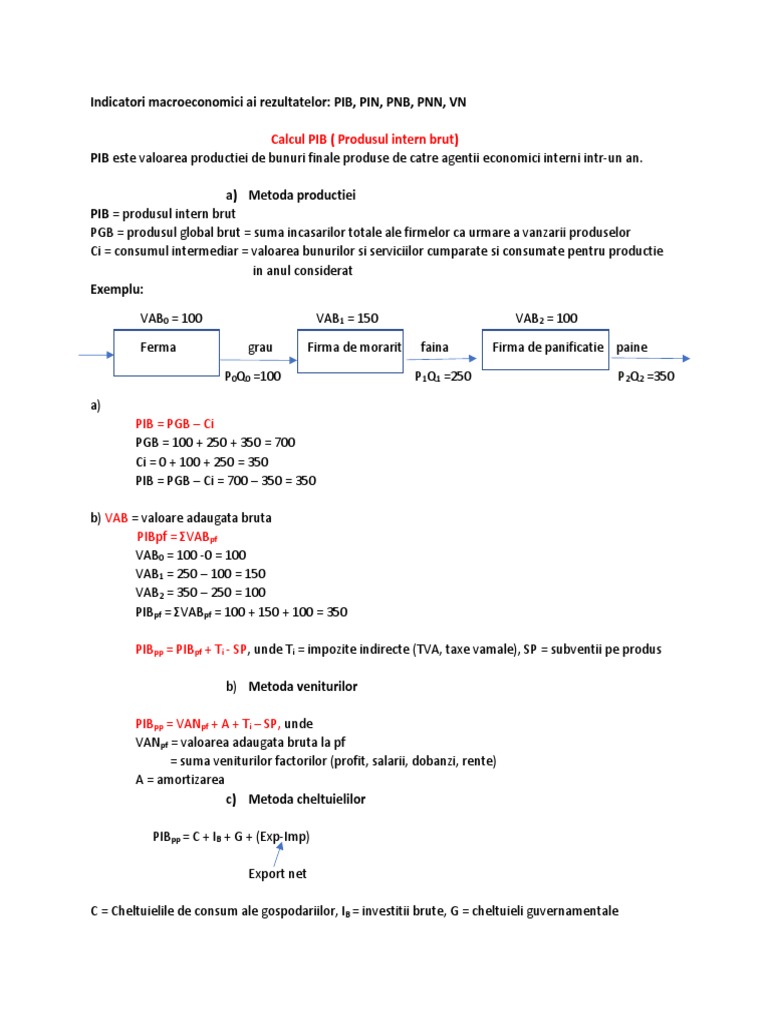 Aplicatie Calcul PIB | PDF