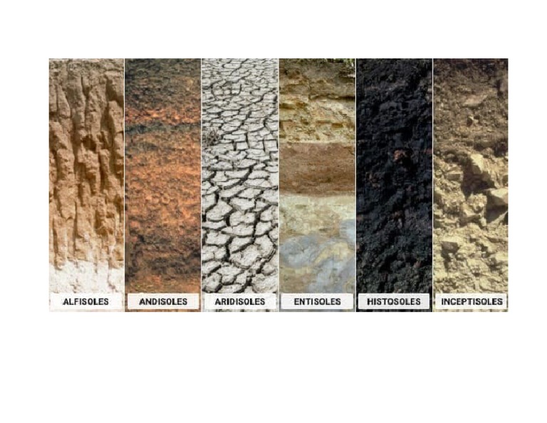 Tipos de Suelos | PDF