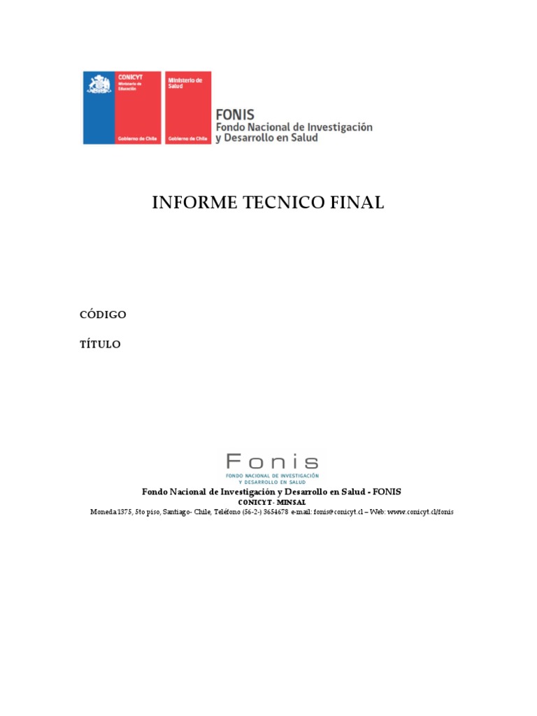 FORMATO Informe Final Fonis | PDF