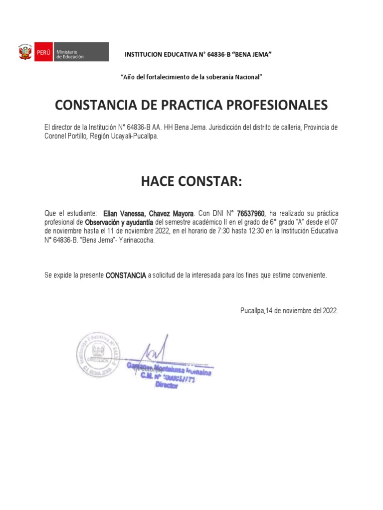 Constancia de Practica Profesional. | PDF