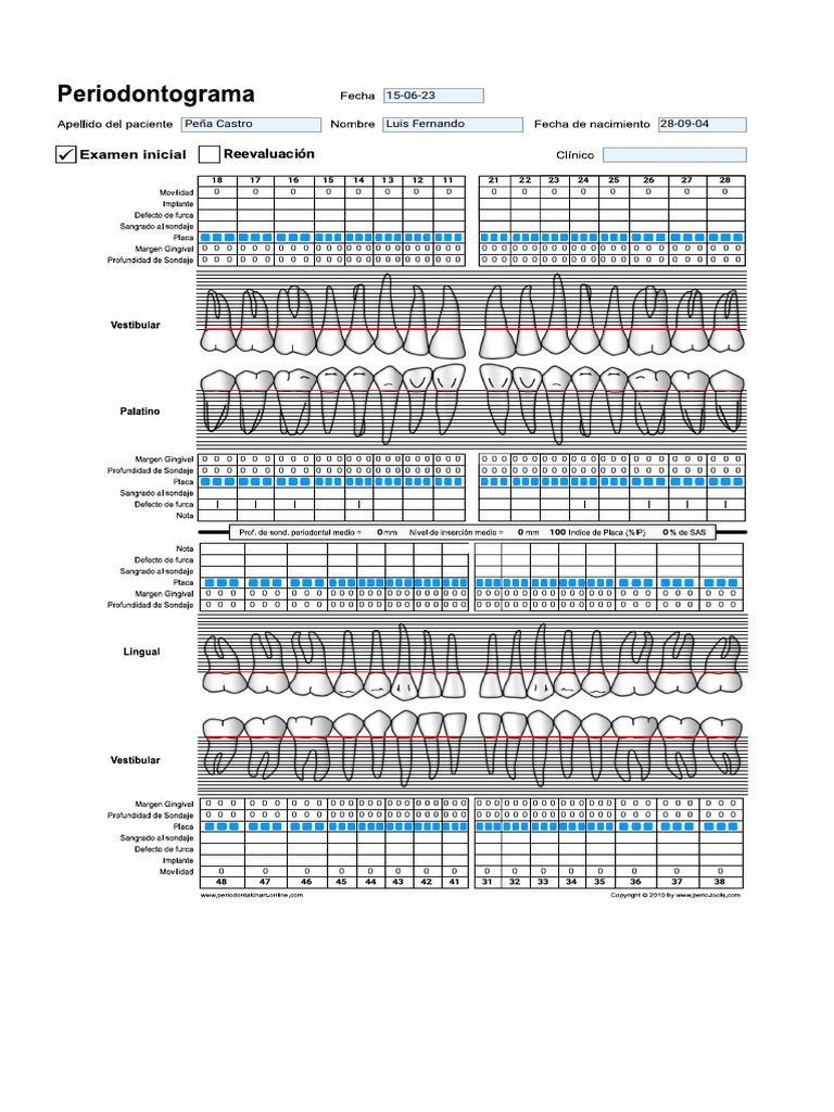 Periodontal Chart Online - Www.perio-Tools.com (1) | PDF