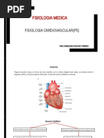 Signo de Homans: Diagnóstico y Relevancia | PDF | Anatomía del miembro ...