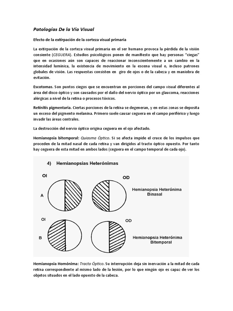Patologías-De-la-Vía-Visual 2 | PDF | Percepción visual | Ojo humano