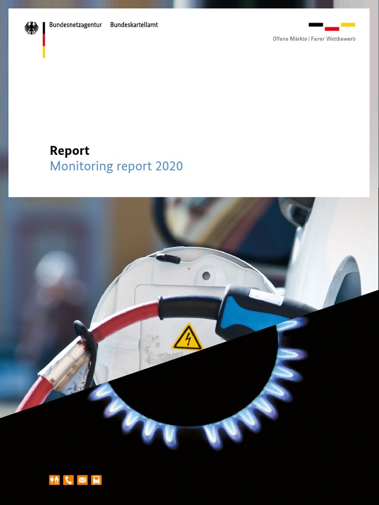 Monitoring Report 2020 | PDF