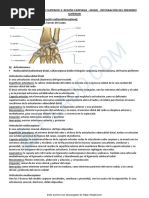 Articulación Radiocarpiana | PDF | Articulación | Extremidades (anatomía)