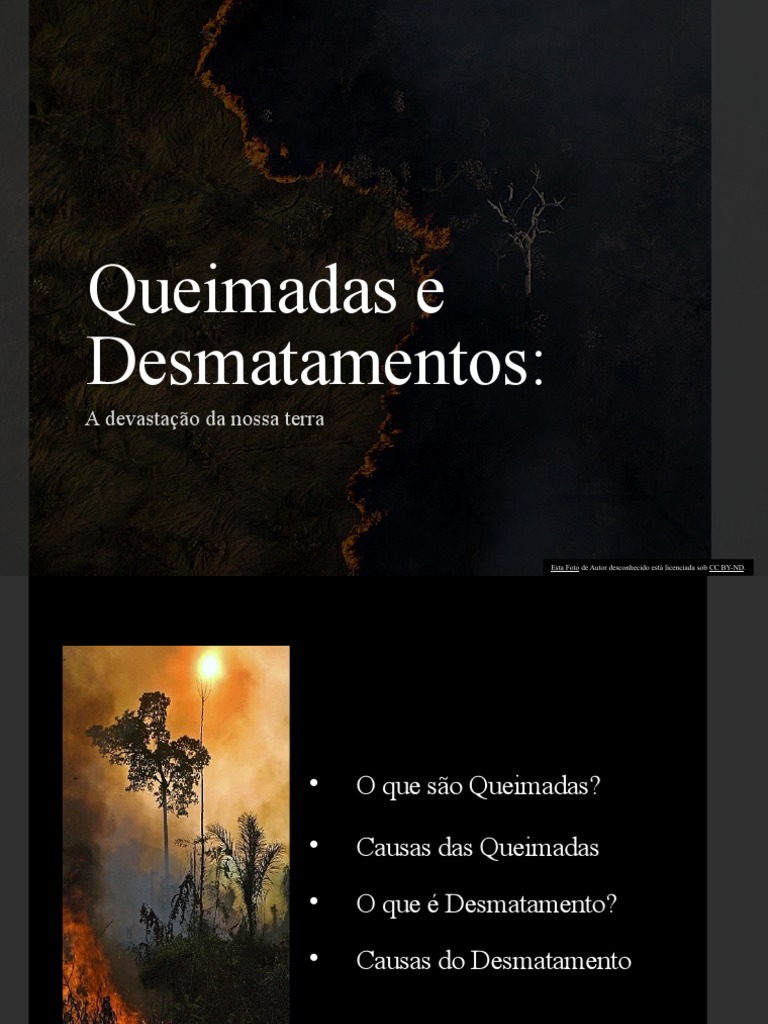Queimadas e Desmatamentos | PDF