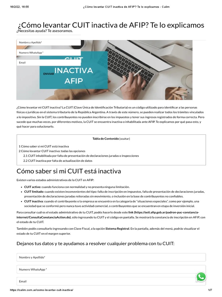 ¿Cómo Levantar CUIT Inactiva de AFIP - Te Lo Explicamos - Calim | PDF