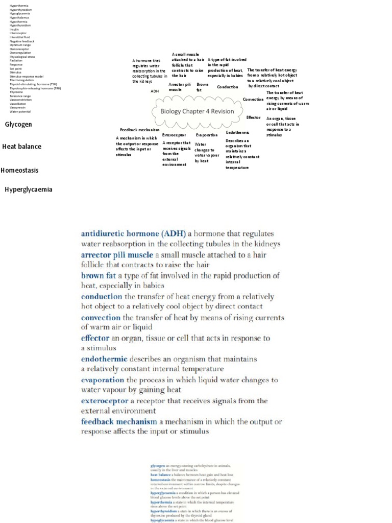 Biology Chapter 4 Revision Mind Map | PDF
