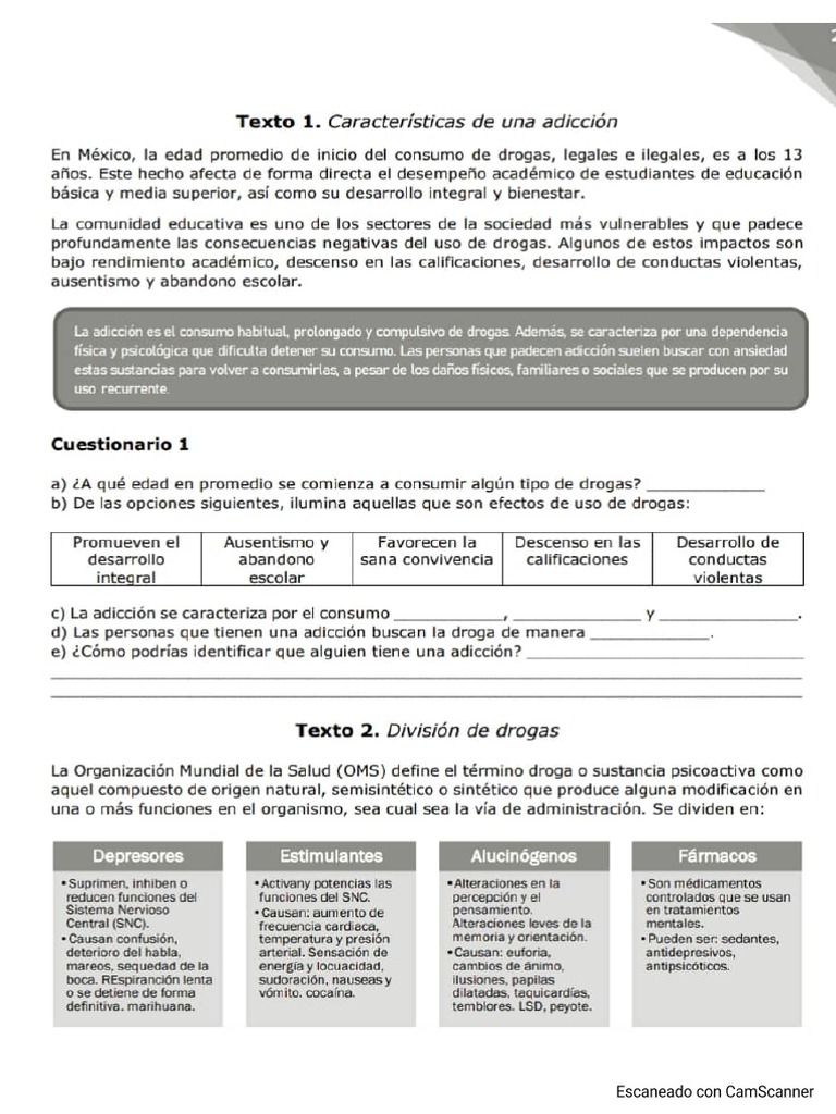 Actividades Drogas | PDF