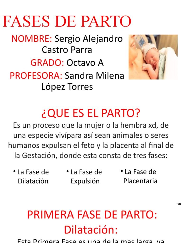 Fases de Parto o Etapas o Empanadas Xdxd | PDF | Parto | Especialidades ...