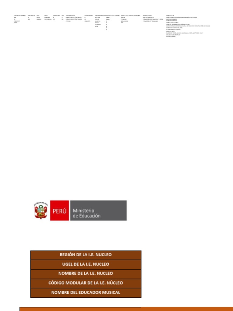 Registro Estudiantes Orquestando (Daryl Ronaldo Salinas Acerro) | PDF