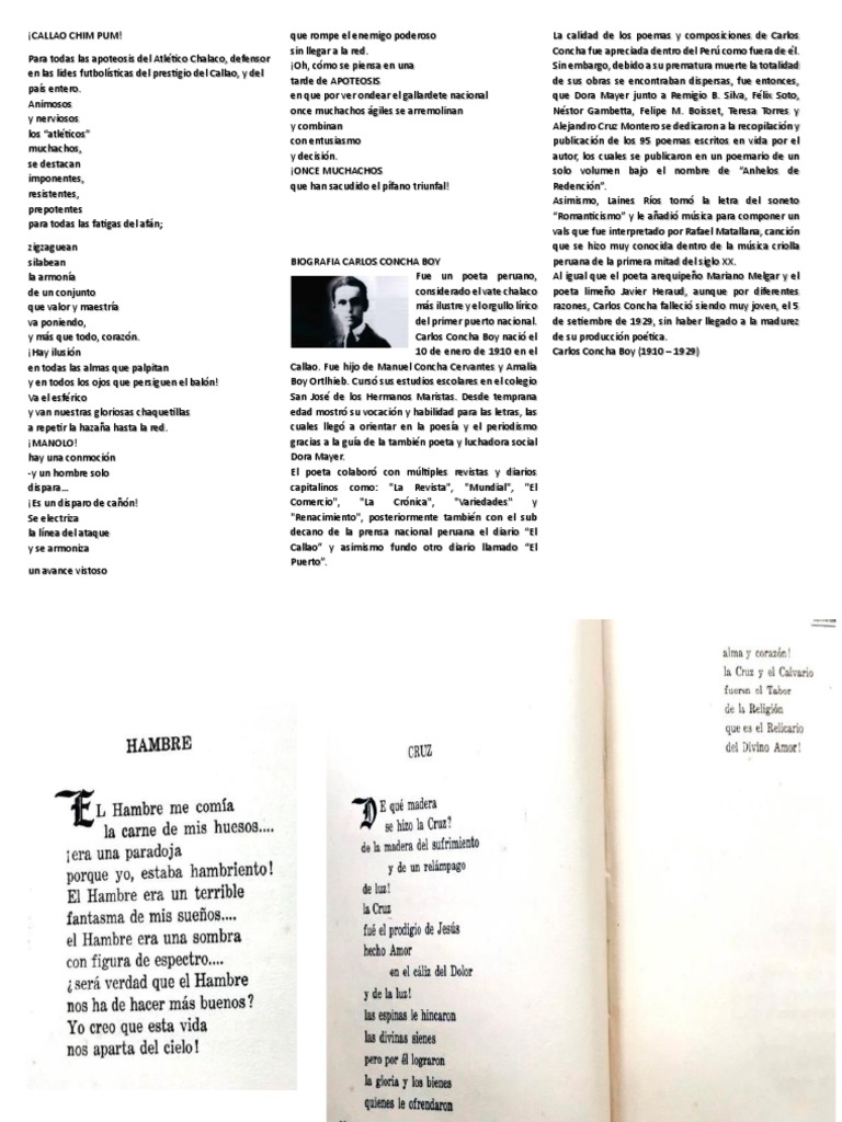 Carlos Concha Boy | PDF