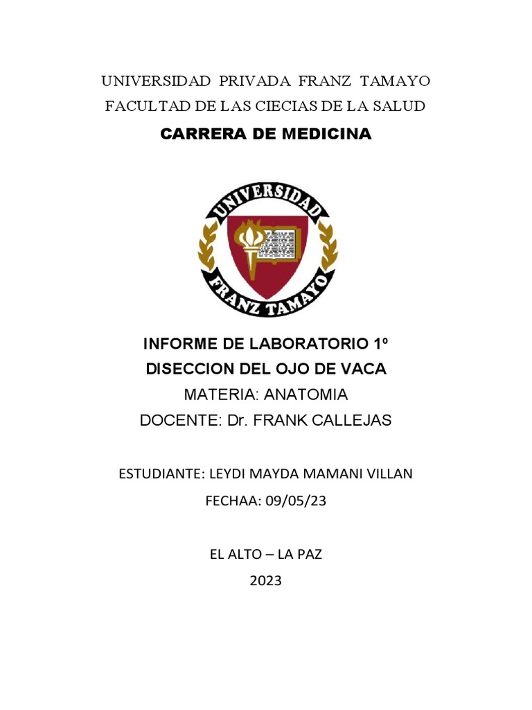 Disección Ojo de Vaca: Anatomía | PDF | Ojo humano | Ojo