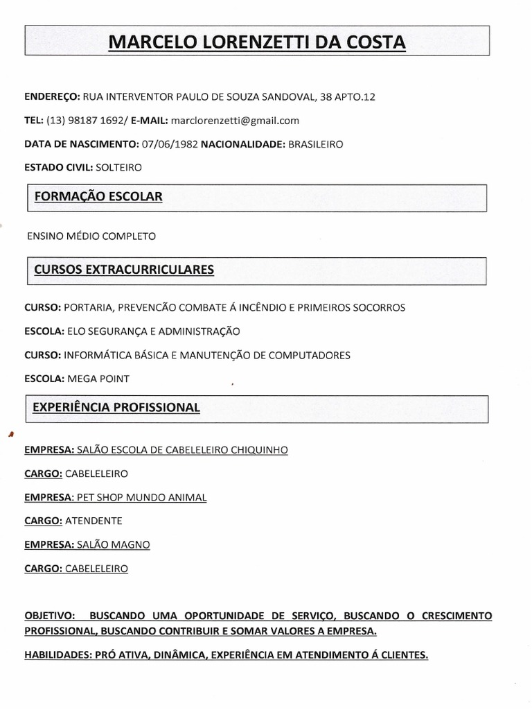 Curriculum Marcelo | PDF
