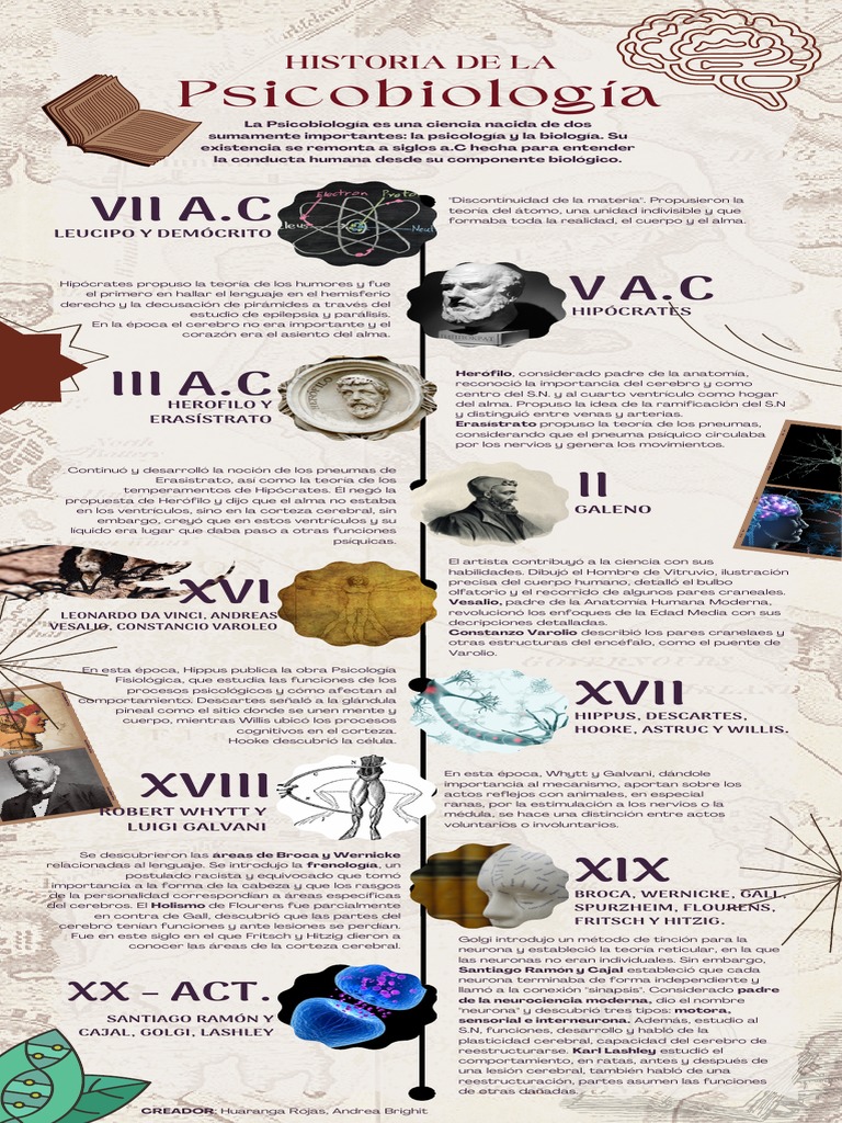 Historia de La Psicobiología | PDF | Cerebro | Neurona