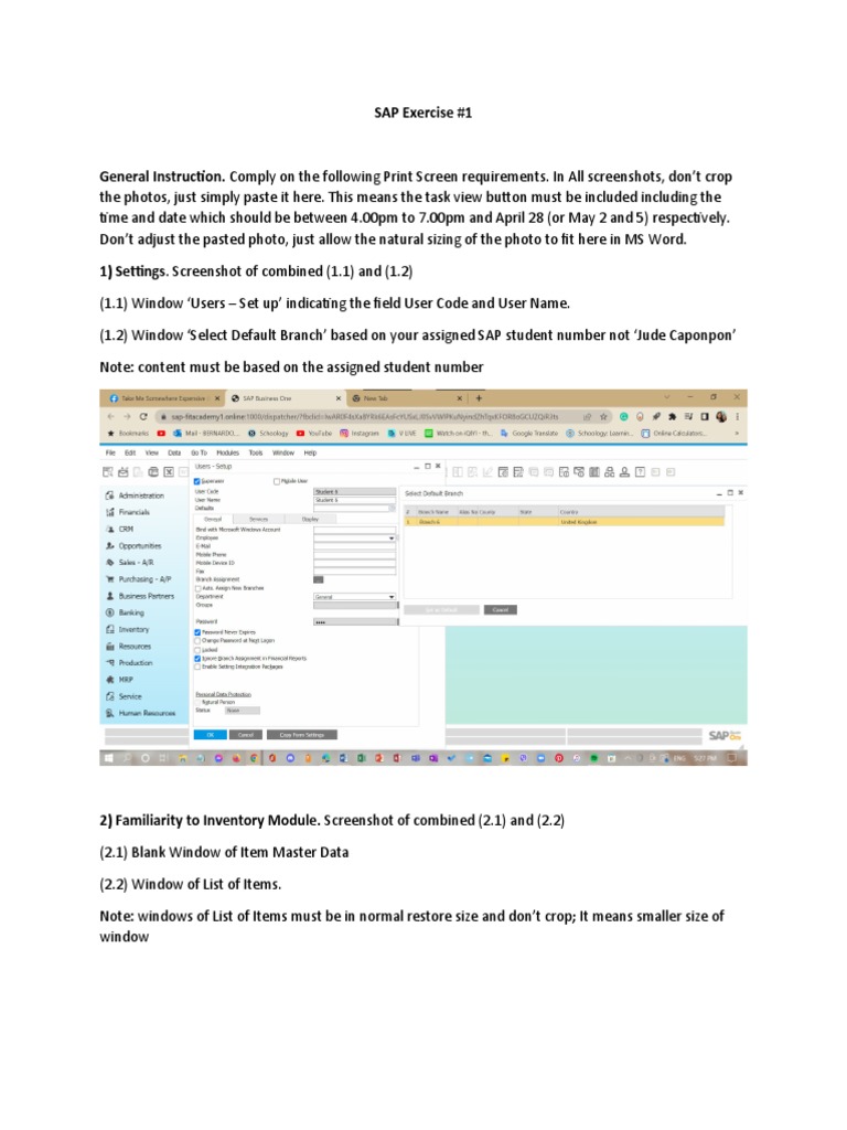 SAP Screenshot Exercise Instructions | PDF | Screenshot | Computer Science