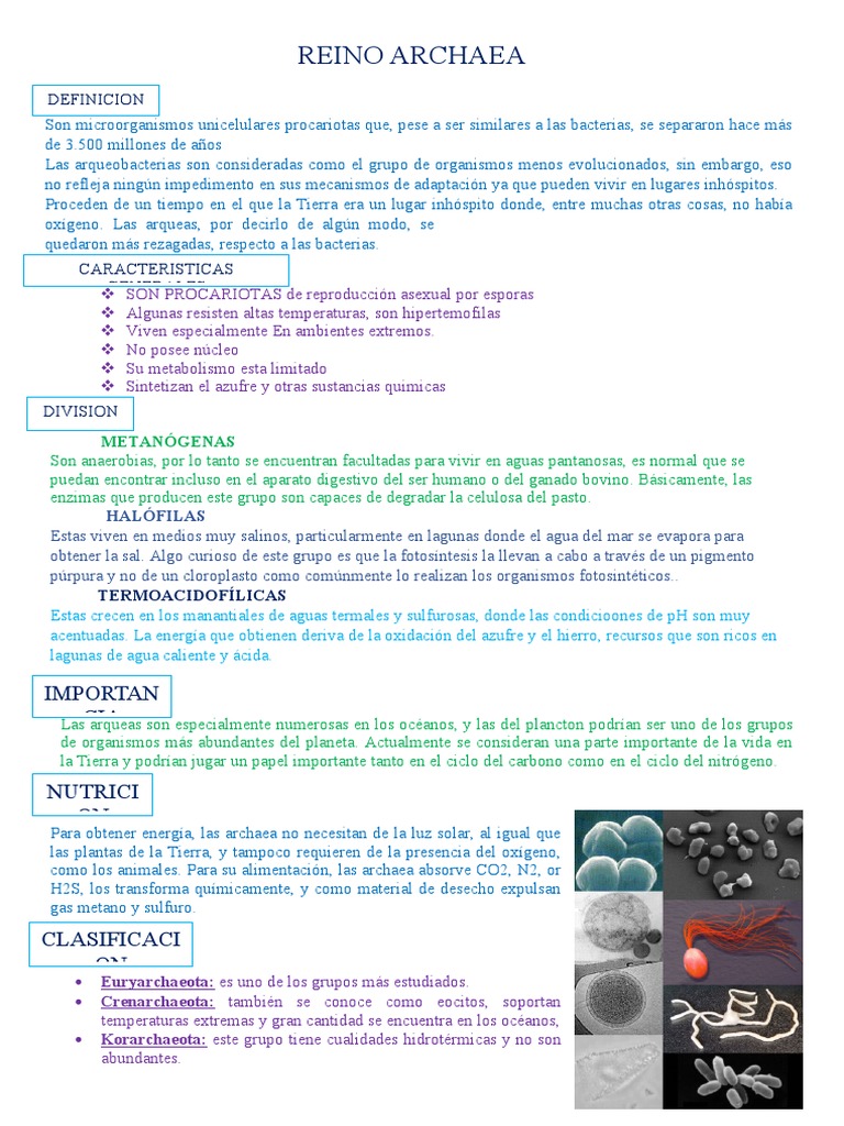 Reino Archea | PDF | Archaea | Naturaleza