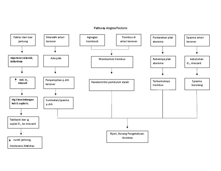 Pathway Angina Pectoris KMB 1 Karyn Gloria Angela Pelealu | PDF