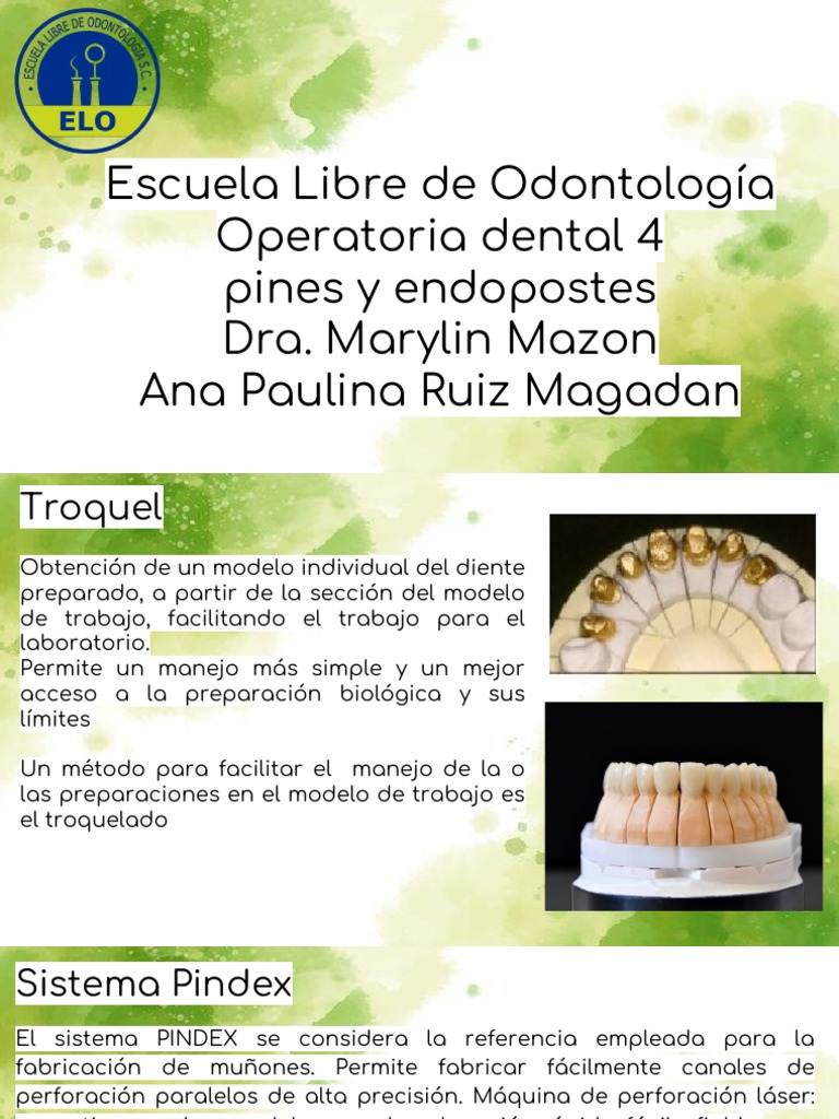 Sistema Pindex | PDF