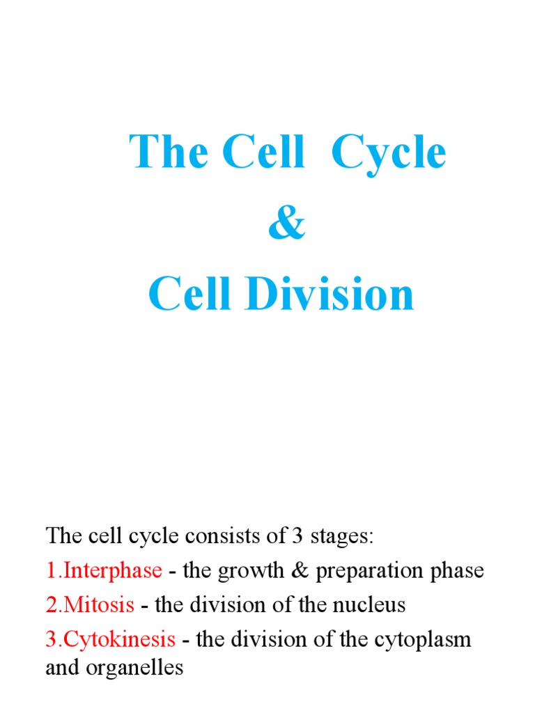 5 - Cell Division - Notes 1 | PDF | Mitosis | Meiosis