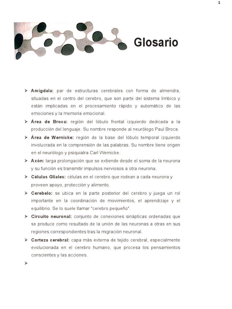 Glosario Conceptos Básicos - Biología | PDF | Cerebro | Neurona