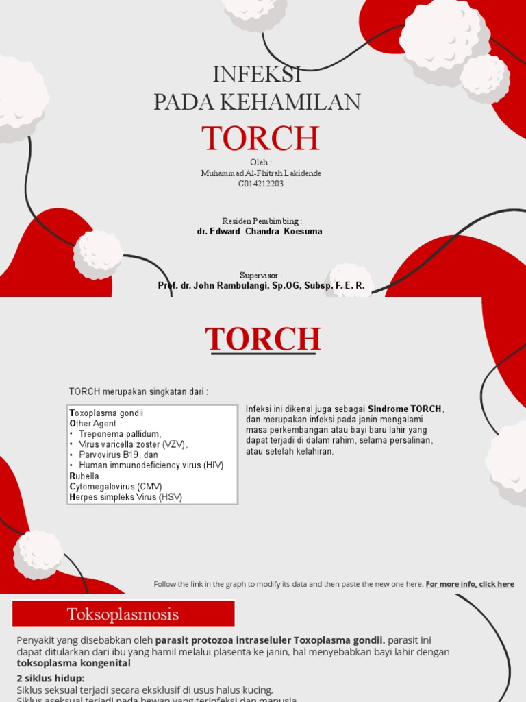 Infeksi Pada Kehamilan (TORCH) | PDF