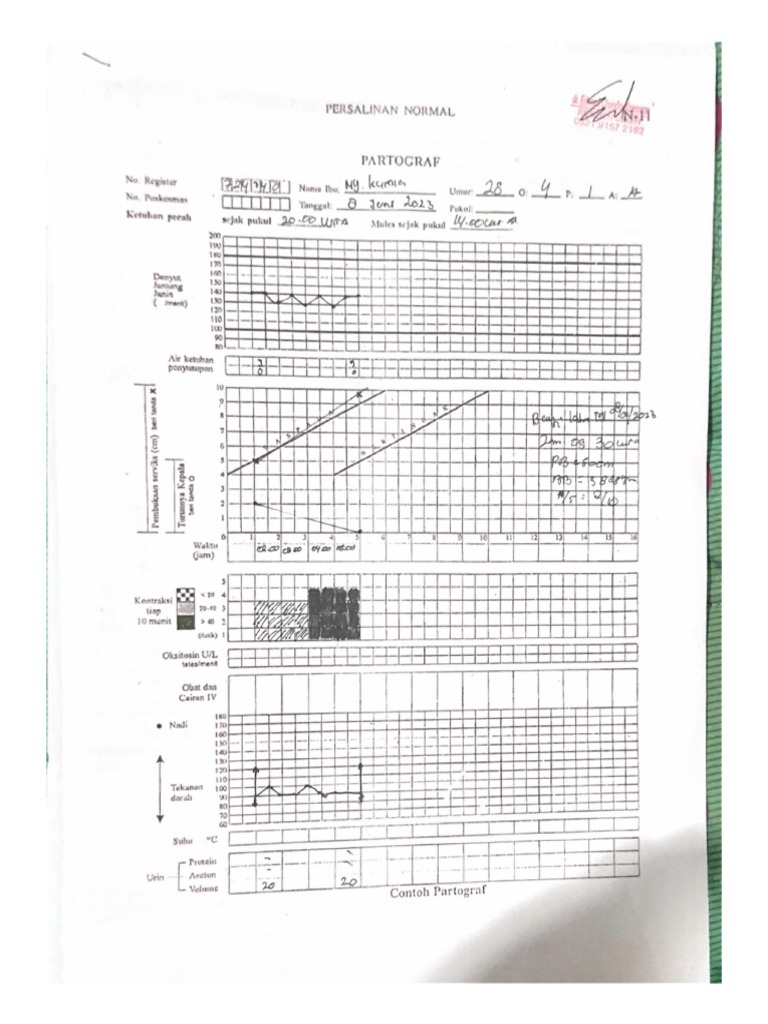 Patograf 3 | PDF