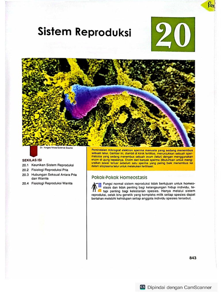 Faal Reproduksi | PDF