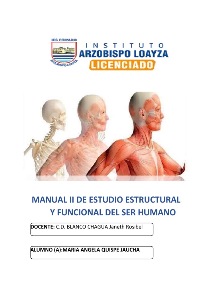 Tarea Angela Quispe | PDF | Riñón | Sangre