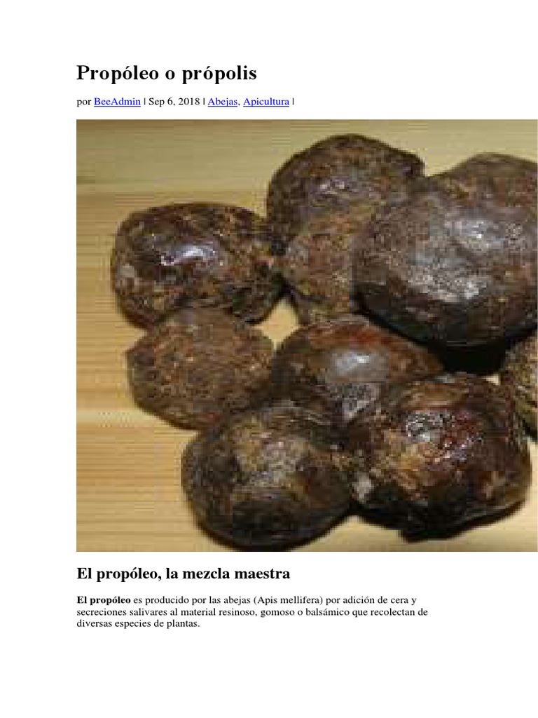 Propóleo o Própolis | PDF | Apicultura