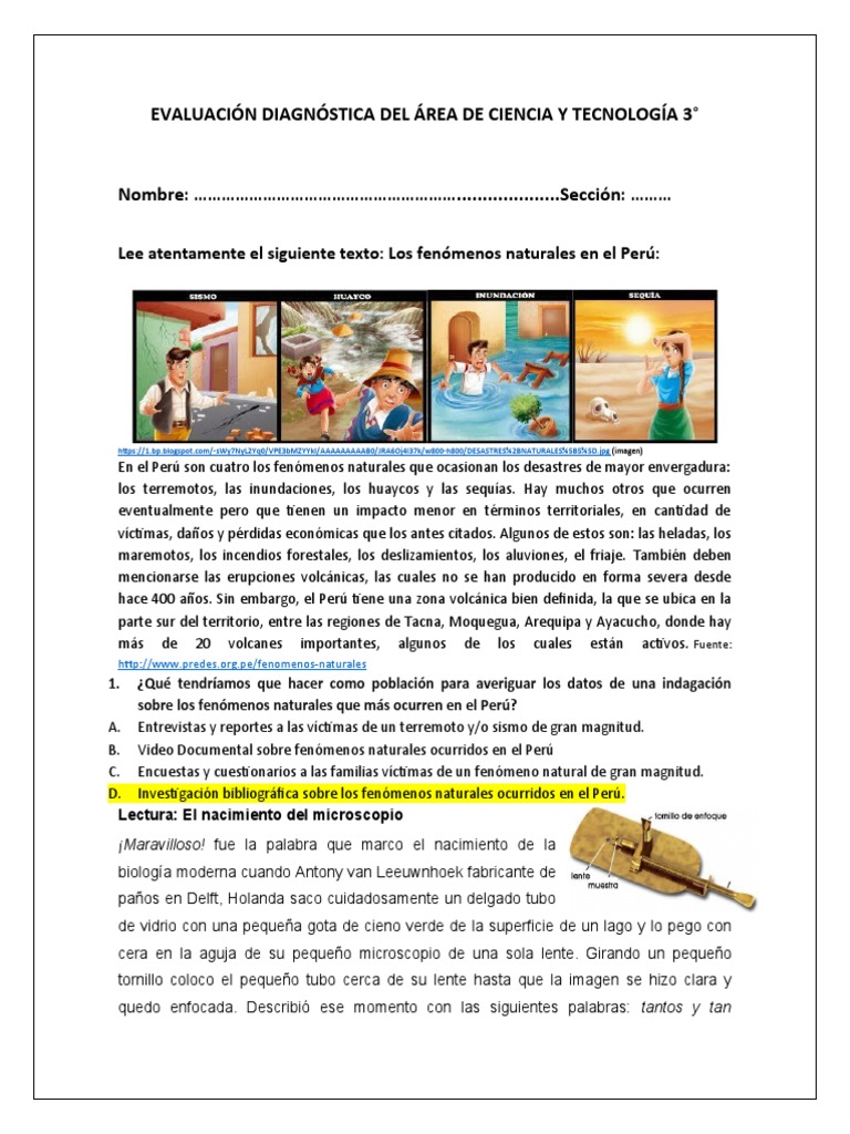 EVALUACIÓN DIAGNÓSTICA DEL ÁREA DE CIENCIA Y TECNOLOGÍA 3 TIPO ECE 2023 | PDF | Biología Celular ...