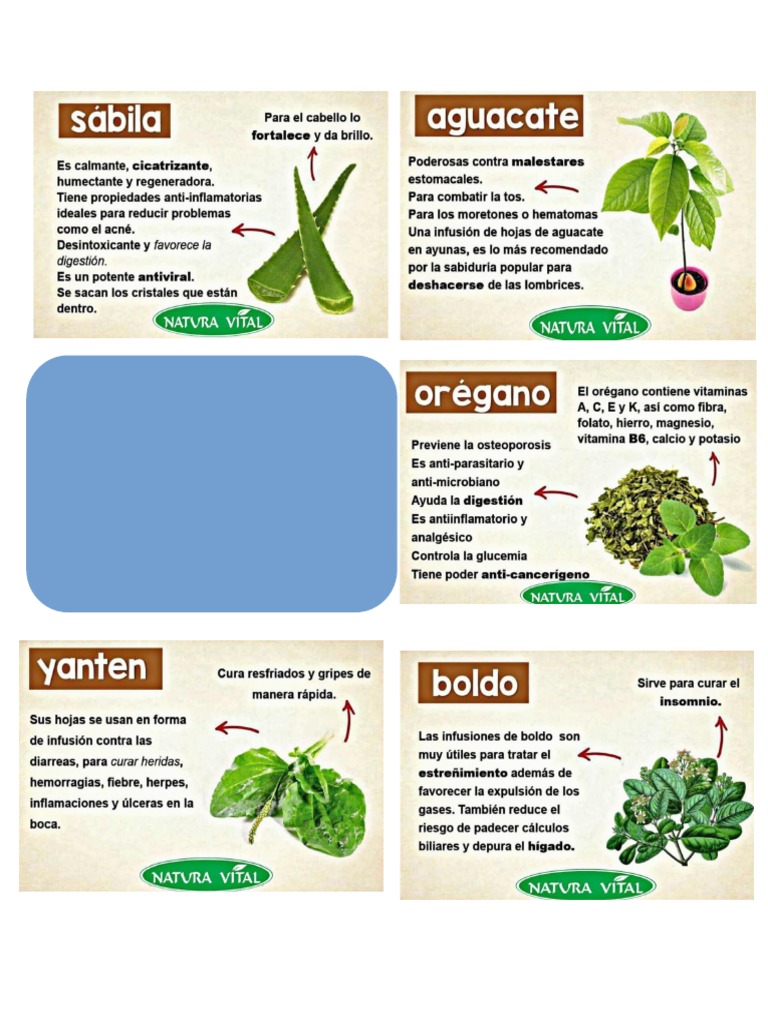 Plantas Medisinales Del Perú | PDF