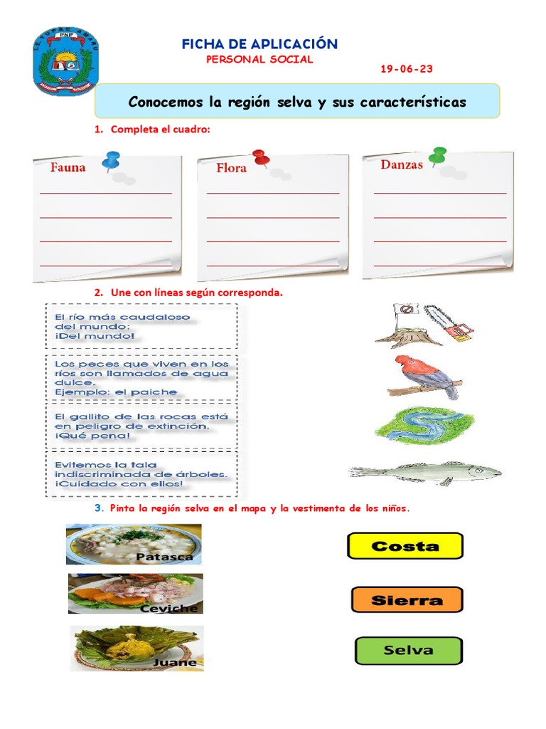 Ficha Ps 19-06-23 La Selva y Sus Caracteristicas | PDF