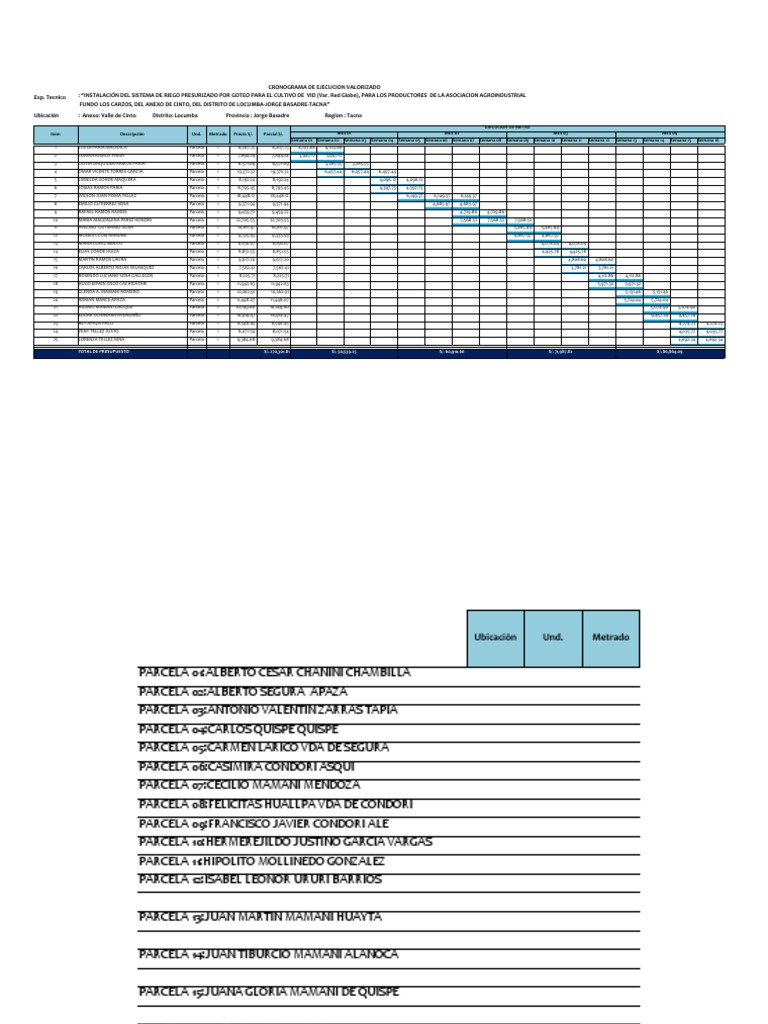 Cronograma de Ejecucion | PDF