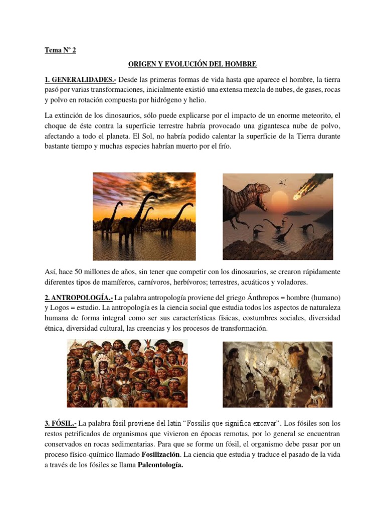 Esp. 2 Origen Del Hombre | PDF | Homo | Homo Sapiens
