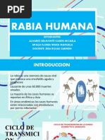 Guía de Profilaxis Antirrábica Humana | PDF | Rabia | Biología