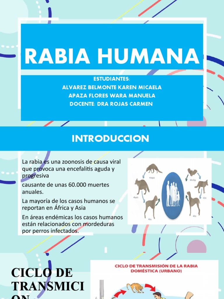 Rabia Humana | PDF | Rabia | Microbiología