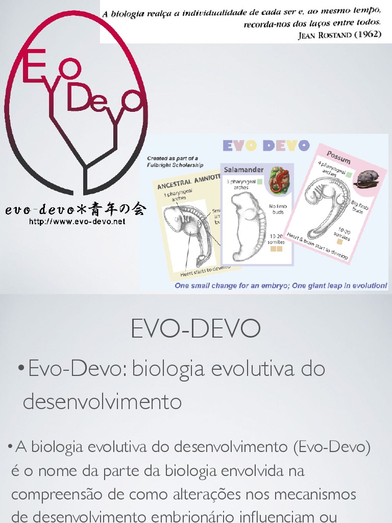 Evo Devo 2023 | PDF | Biologia Evolutiva do Desenvolvimento | Gene