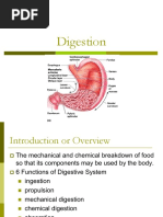 Necropsy Report | PDF | Stomach | Autopsy