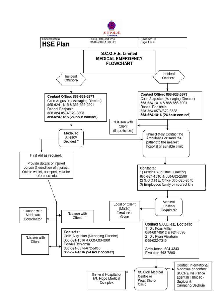 Medical Emergency Flowchart | PDF | Social Programs | Public Services
