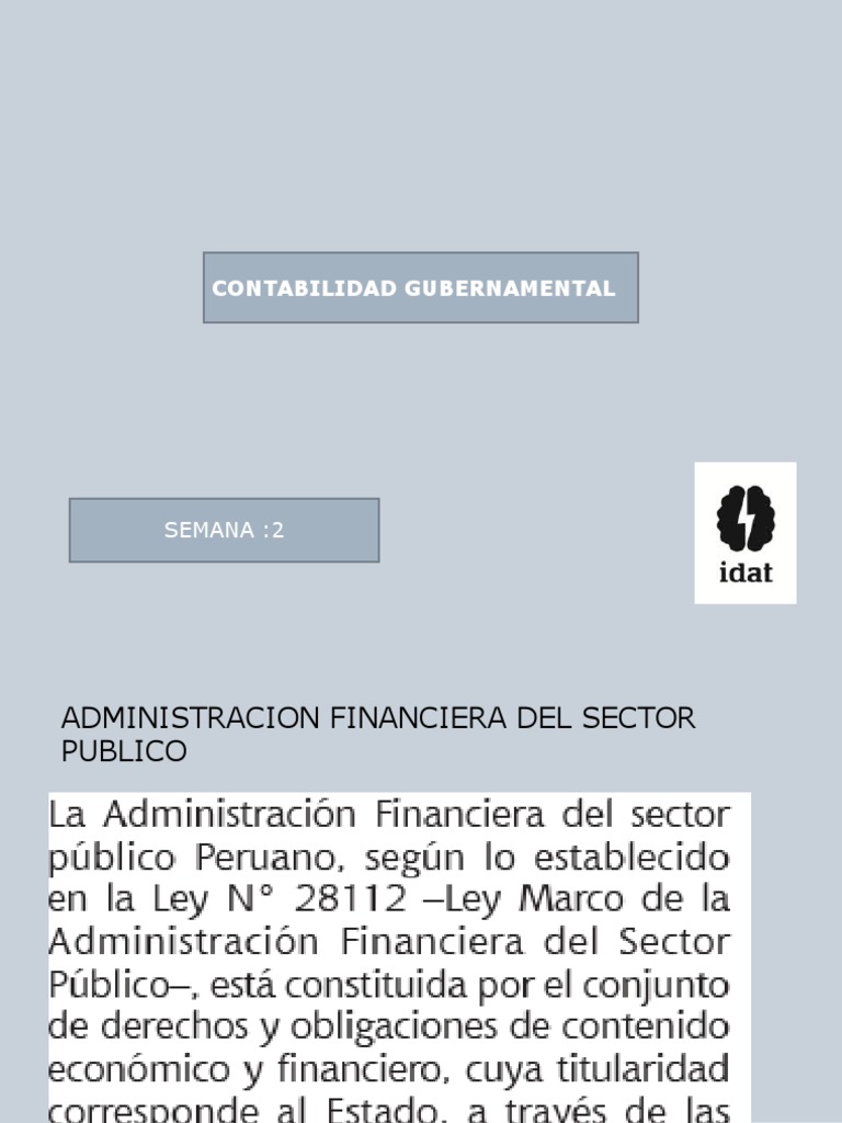 Plan Contable Gubernamental-2 | PDF | Contabilidad | Presupuesto
