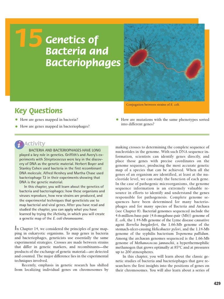 Genetic Exchange in Bacteria | PDF | Growth Medium | Genetics