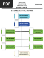 BADAC TEMPLATE - Council Organizational Structure | PDF