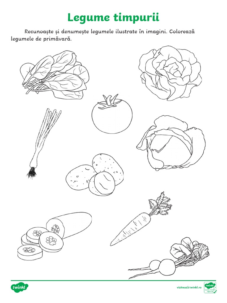 Legume Timpurii - Fisa de Activitate | PDF