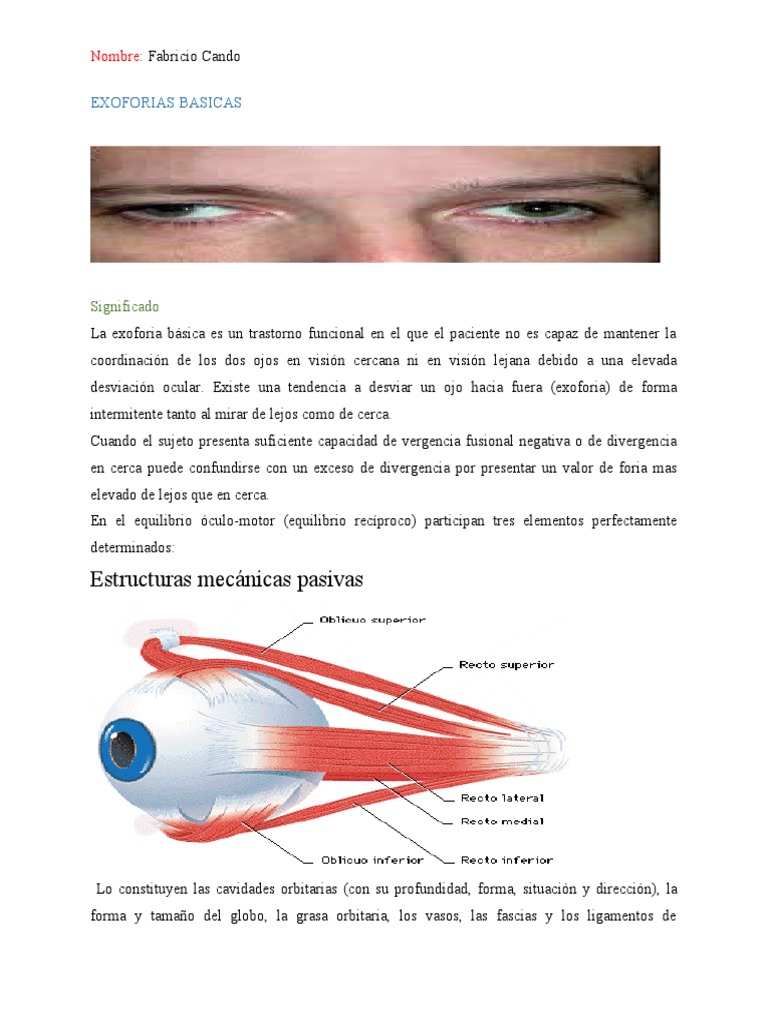 Exoforias Cando | PDF | Percepción visual | Ligero